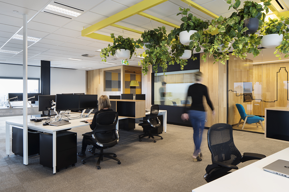 Growthpoint Properties - Linear Designs