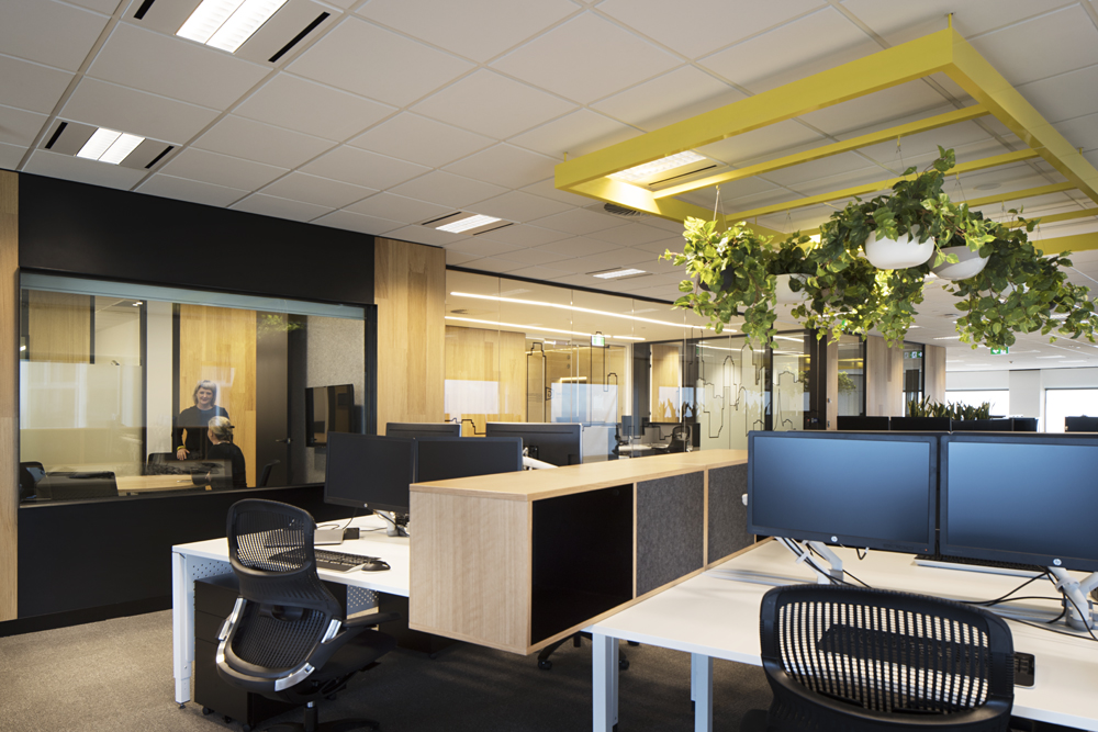 Growthpoint Properties - Linear Designs